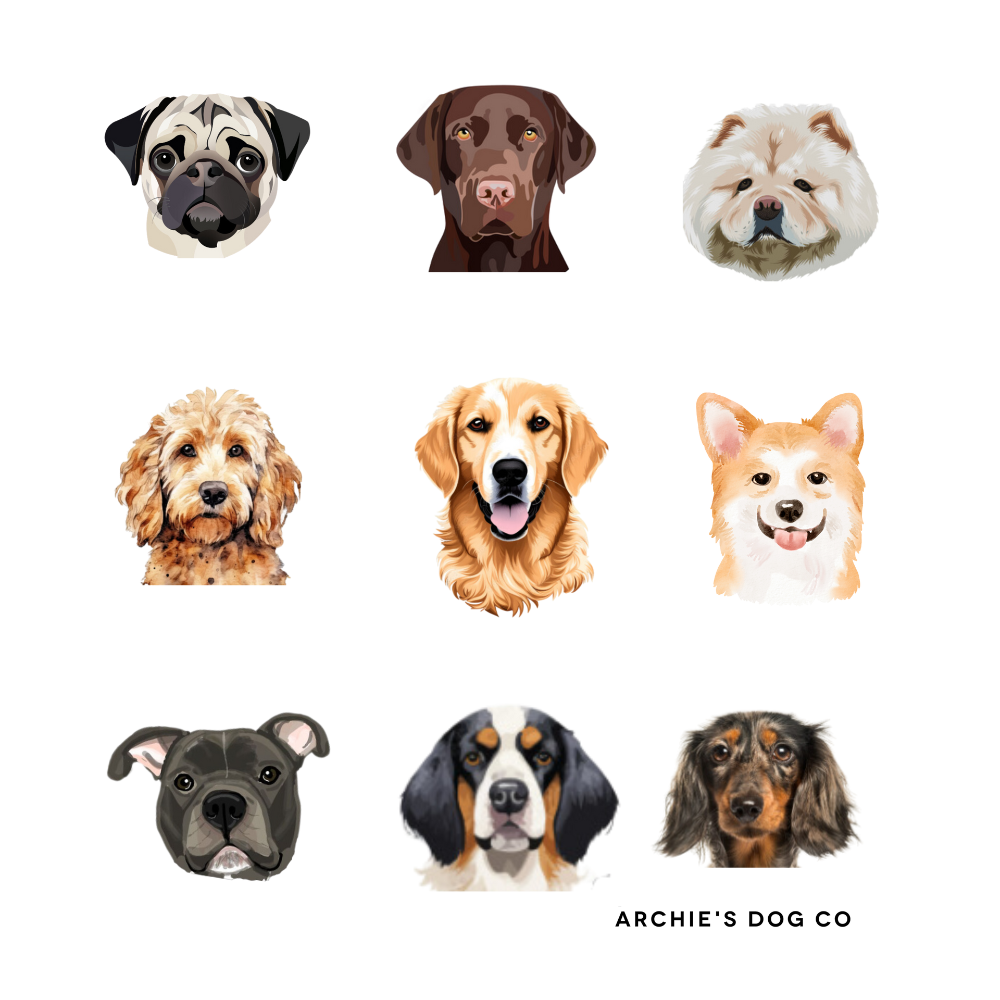 Dog Breed Sticker – Archie's Dog Co.